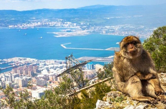Gibraltar Private Tour - Why This Tour Works Well