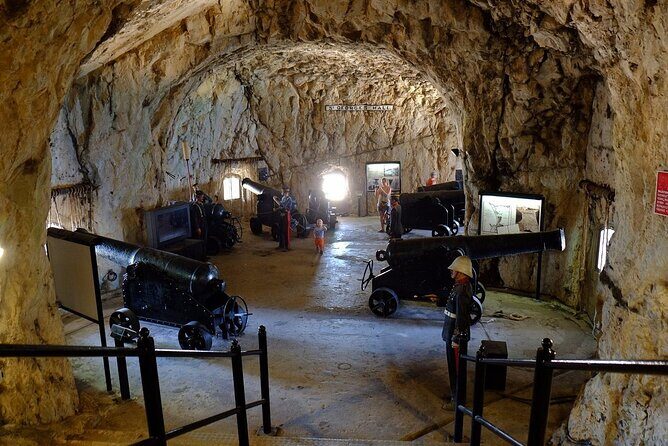 Gibraltar Private Tour from Malaga and Surrounding Areas - Authentic Experiences from Reviewers