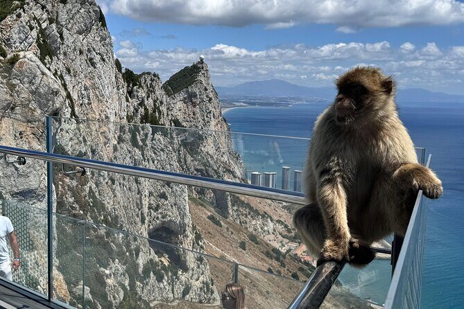 Gibraltar Private Tour From Marbella - Key Points