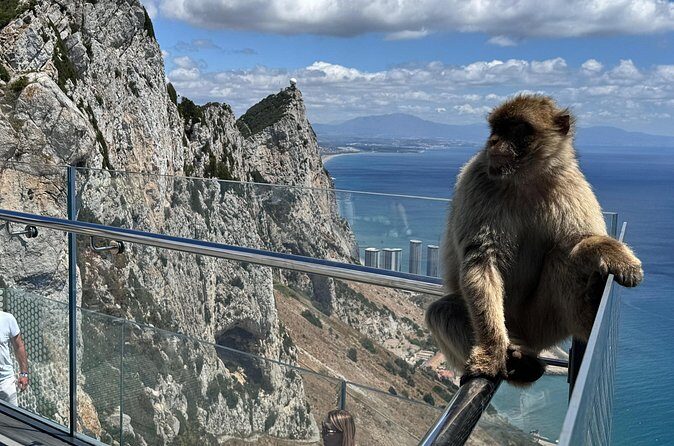 Gibraltar Private Tour From Marbella - Why This Tour Is a Great Choice