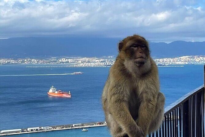 Gibraltar Private Tour From Marbella - FAQs