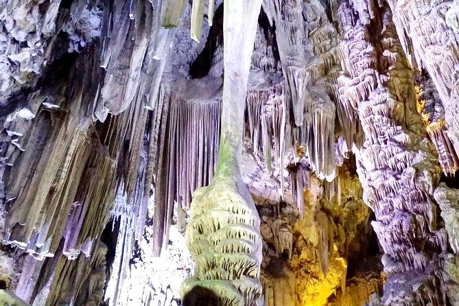 Gibraltar private tour from Marbella or Malaga - Authentic Insights from Previous Travelers