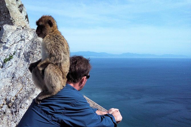 Gibraltar private tour from Marbella or Malaga - FAQs