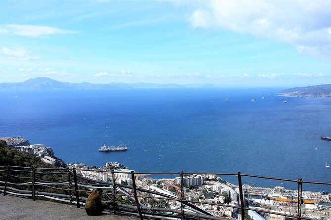 Gibraltar private trip from Marbella or Malaga - FAQ