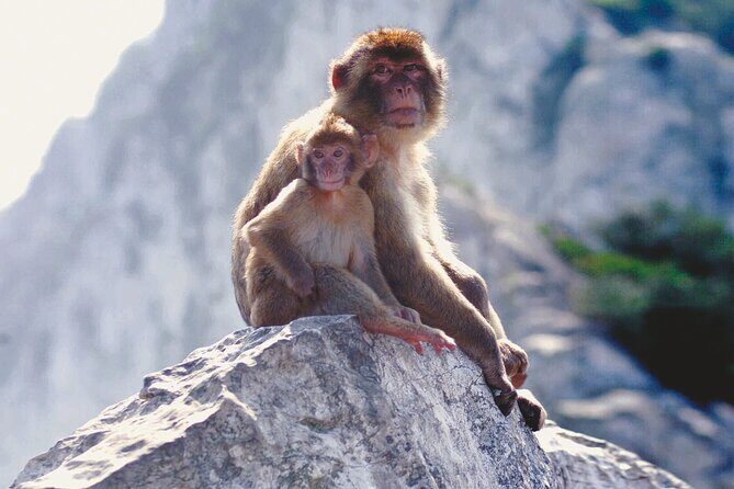 Gibraltar Rock Tour with WWII Tunnels - An In-Depth Look at the Gibraltar Rock Tour with WWII Tunnels