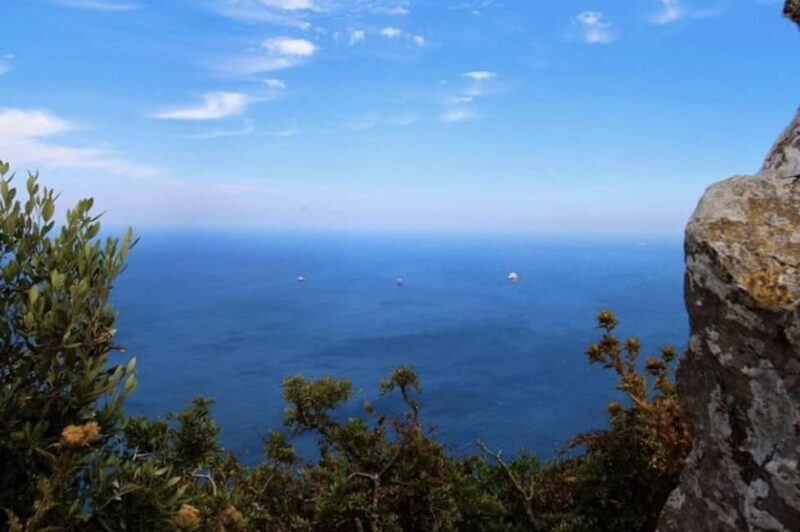 Gibraltar Shore Excursion: The Original Rock & Caves Tour - Encountering the Barbary Macaques in the Nature Reserve
