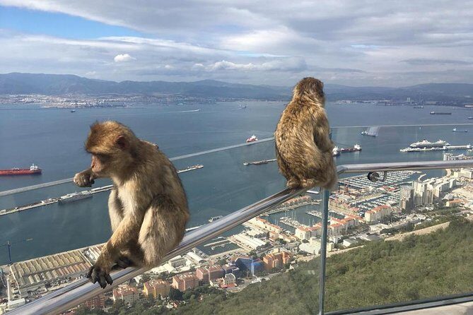 Gibraltar Sightseeing : Classic Rock Tour plus World War 2 Tunnels (Private) - The Sum Up