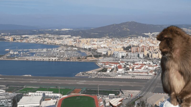 Gibraltar: Tour guiado desde la Costa Del Sol - Who Will Love This Tour?