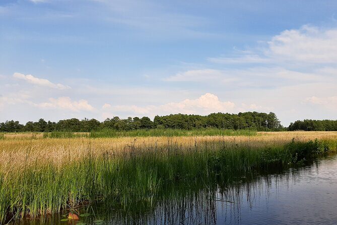 Giethoorn Private 1 or 2 Hour VIP Boat Tour - Deep Dive into the Experience