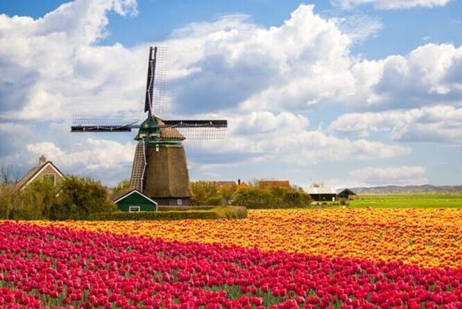 Giethoorn Private Tour, Canal Cruise and Windmills from Amsterdam - Experience the Charm of the Dutch Countryside with the Giethoorn Private Tour, Canal Cruise and Windmills from Amsterdam
