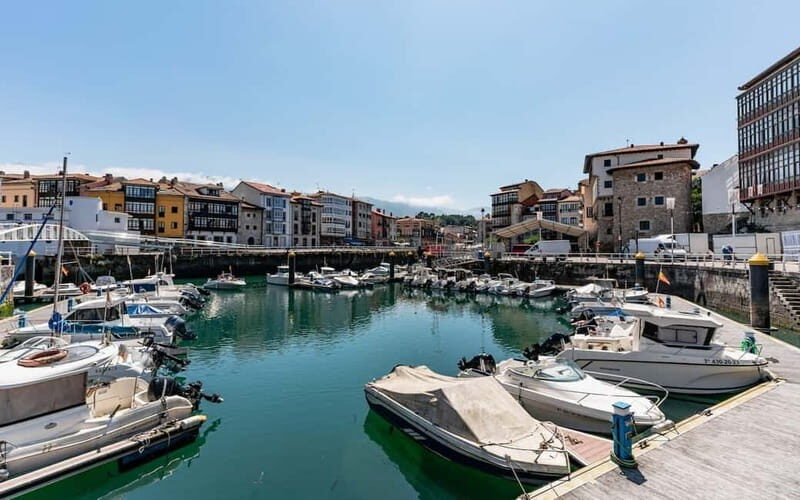 Gijón: Ribadesella, Llanes & San Vicente de la Barquera - Transportation and Pace