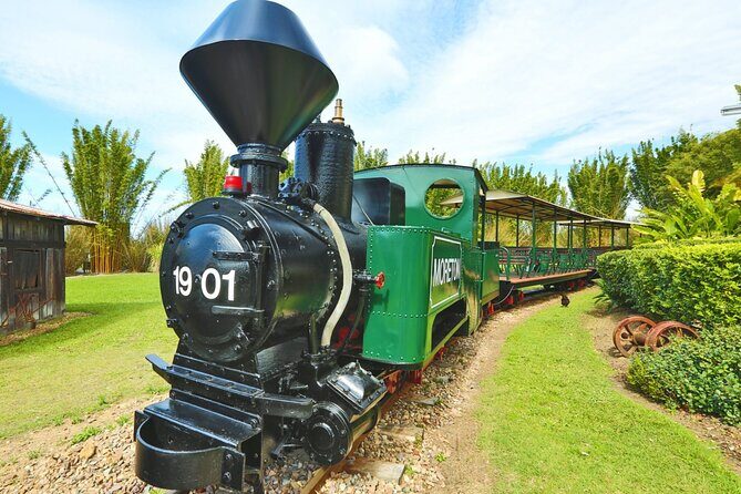 Ginger Factory and Nutworks Return Bus Transfer: Sunshine Coast - Introduction to the Tour