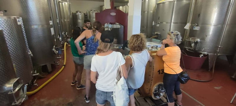 Gioia del Colle: Winery with Primitivo Tasting - FAQ