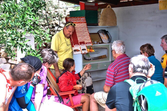 Give Bees a chance! - Key Points