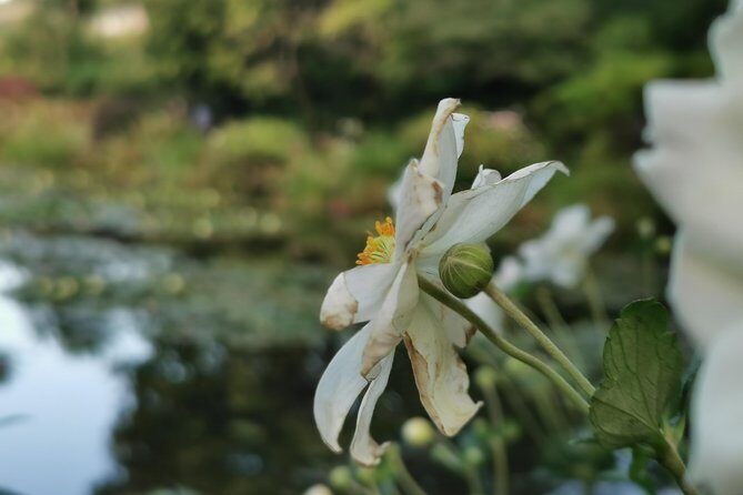 Giverny Auvers sur Oise private tour - The Itinerary: What to Expect from This Artistic Journey