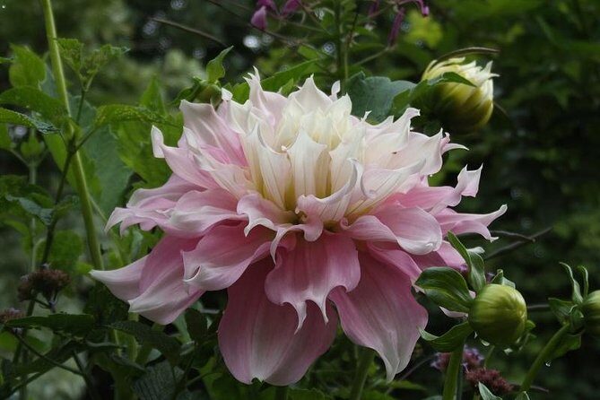 Giverny Small-Group Minivan with Hotel Pickup or Meeting Point - Transport and Timing: Why They Matter