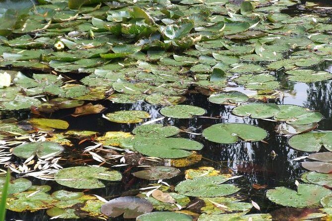 Giverny Small-Group Minivan with Hotel Pickup or Meeting Point - Final Thoughts