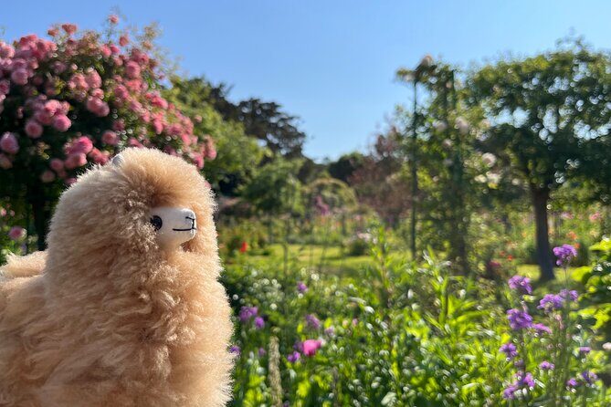 Giverny & Versailles Private Guided Tour with Ticket Entry - FAQ