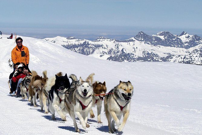 Glacier 3000 and Montreux Riviera from Geneva - Who Should Book This Tour?