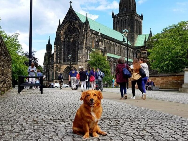 Glasgow: Gander Walking Tour - Final Thoughts