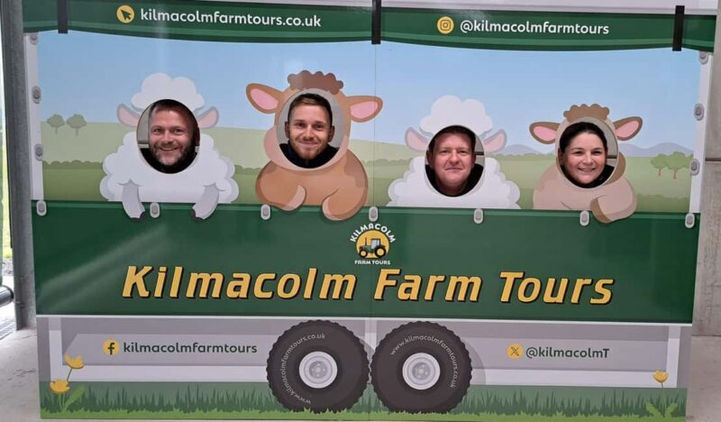 Glasgow: Highland Cow Trailer Tour with home baking - The Sum Up