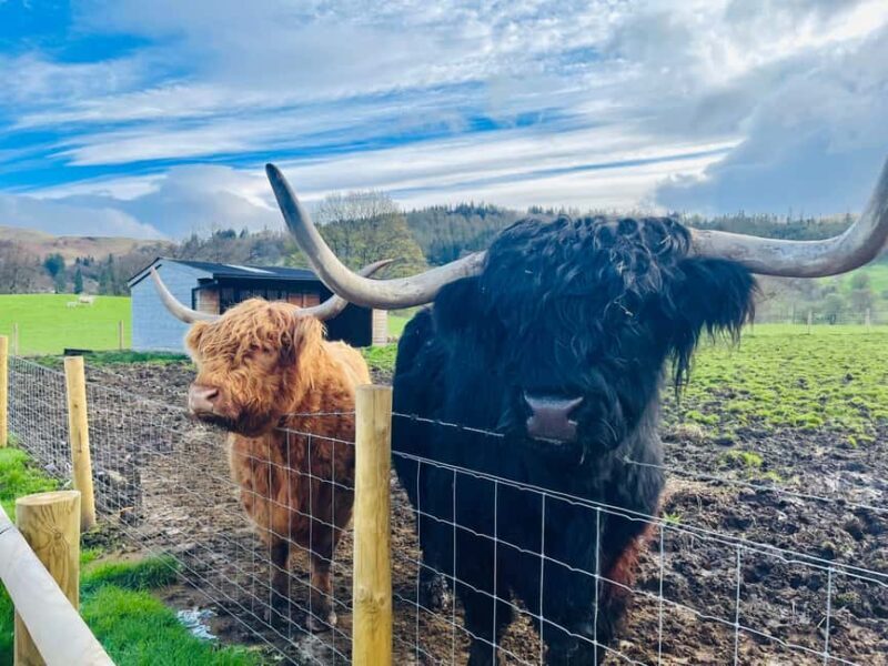 Glasgow: Loch Ness, Glencoe & The Highlands - The Value of the Experience