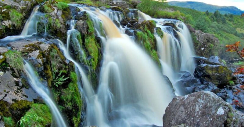 Glasgow: Loup of Fintry Waterfall Guided Tour - Authentic Scottish Countryside & Wildlife