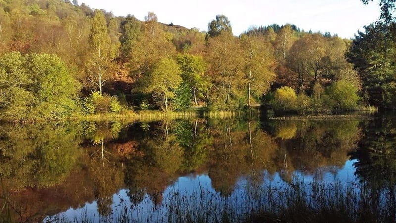 Glasgow Shore Excursion: - Loch Lomond - Stirling Castle - FAQ