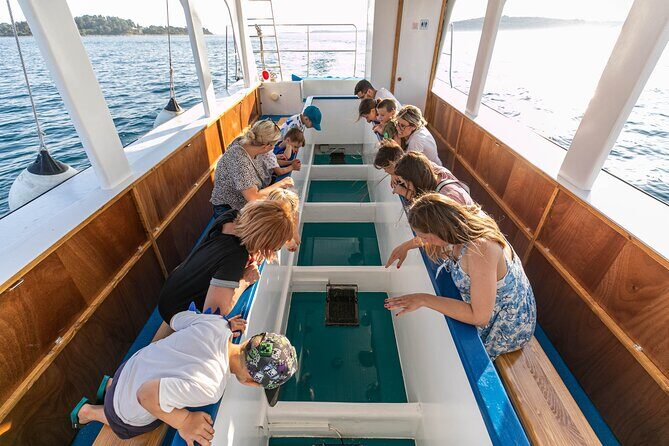 Glass boat tour Faana with swimming stop - Itinerary Breakdown: What You Can Expect