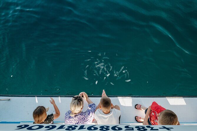 Glass boat tour Faana with swimming stop - Who Will Love This Tour?