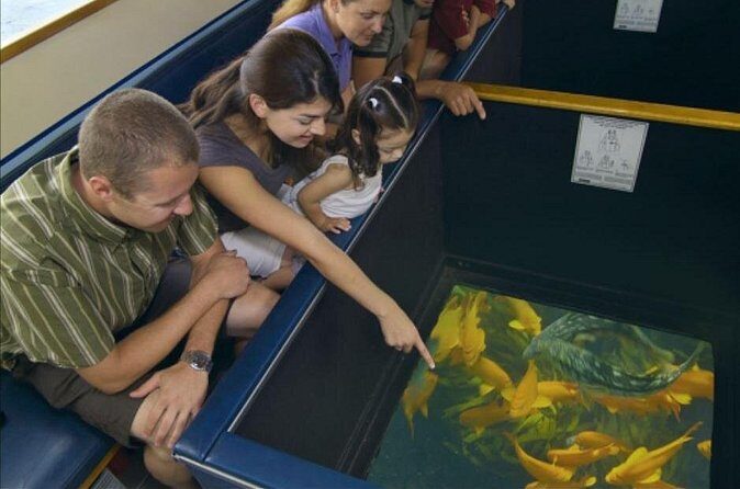 Glass Bottom Boat: Catalina Island Tour - Potential Drawbacks and Considerations