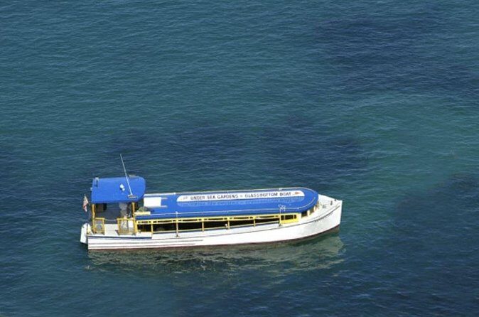 Glass Bottom Boat: Catalina Island Tour - Who Will Love This Tour?