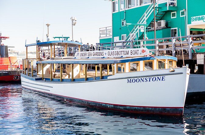 Glass Bottom Boat: Catalina Island Tour - FAQ Section
