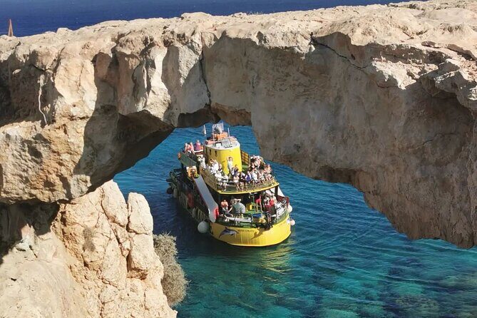 Glass Bottom Boat Dolphin Cruise to Blue Lagoon and Turtle Cove - Overview of the Experience  