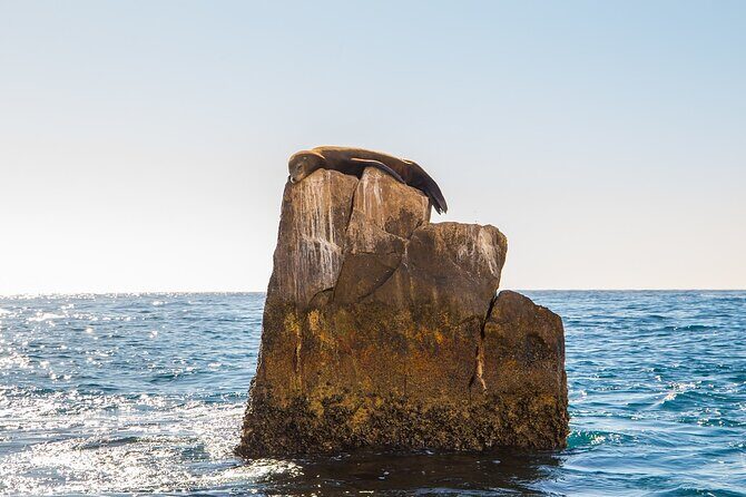 Glass Bottom Boat in Cabo San Lucas, free time in Playa del Amor - Who Would Love This Tour?