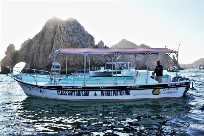 Glass Bottom Boat Sightseeing Tour in Cabo San Lucas - Key Points