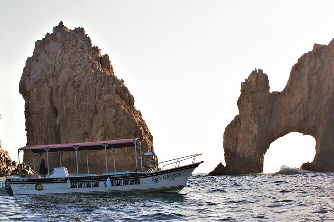 Glass Bottom Boat Sightseeing Tour in Cabo San Lucas - A Closer Look at the Glass Bottom Boat Experience in Cabo