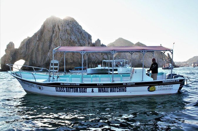 Glass Bottom Boat Sightseeing Tour in Cabo San Lucas - Who Should Consider This Tour?