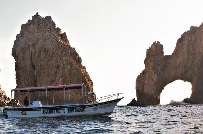 Glass Bottom Boat Sightseeing Tour in Cabo San Lucas - The Sum Up: Is the Glass Bottom Boat Tour Worth It?