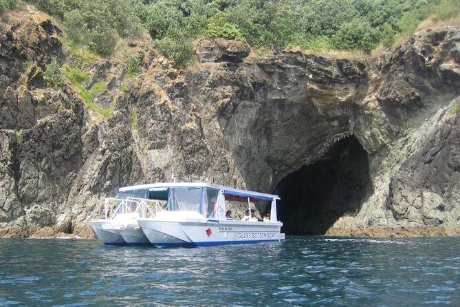 Glass Bottom Boat Tour - Practical Tips for Your Trip