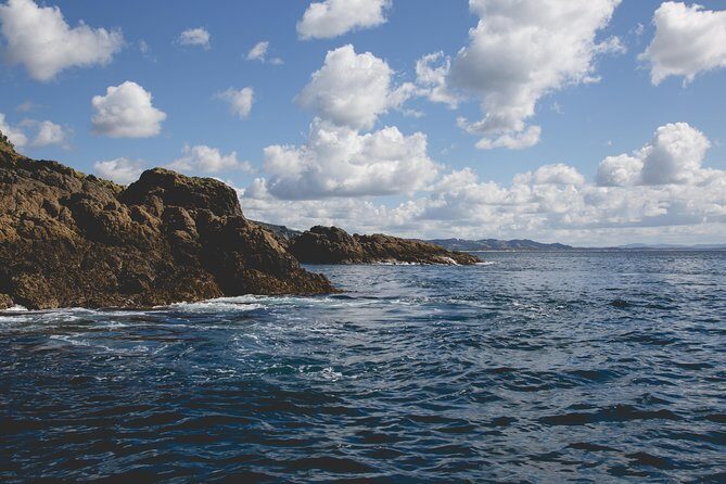 Glass Bottom Boat Tour - FAQ