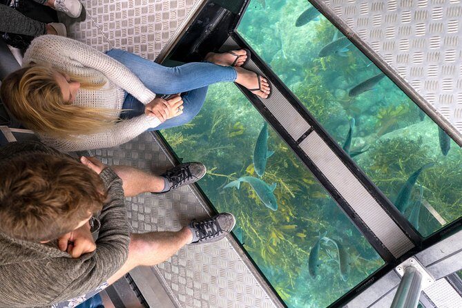 Glass Bottom Boat Whitianga Cathedral Cove Cruise - Meeting and Departure