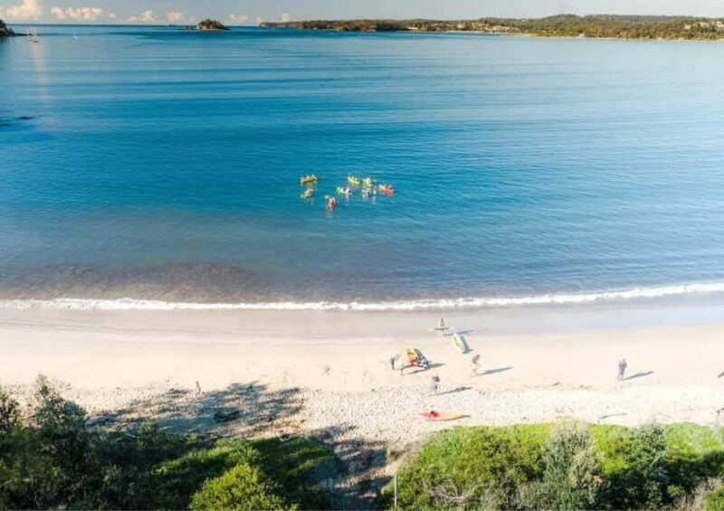 Glass Bottom Kayak Tour - The Bottom Line