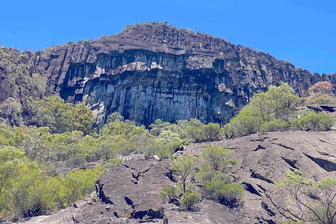 Glass House Mountains Tour with Lunch, Lookouts, and Nature Walks - Scenic Lookout with Historic Fire Tower