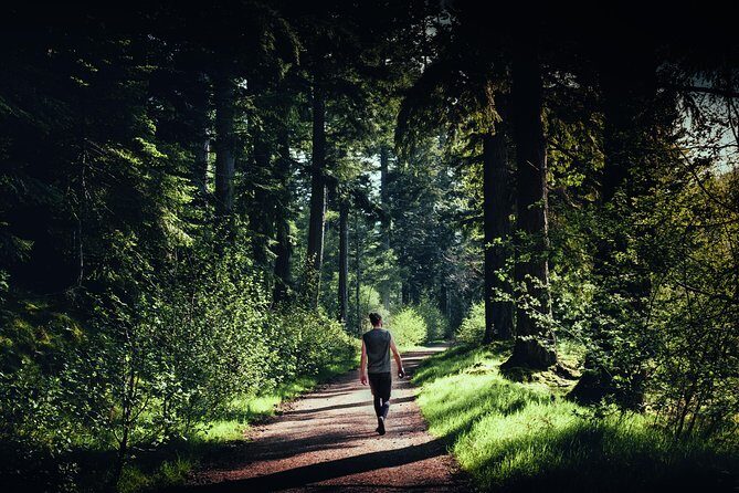 Glen Affric & Culloden Tour from Inverness Including Admissions - Why This Tour Offers Great Value