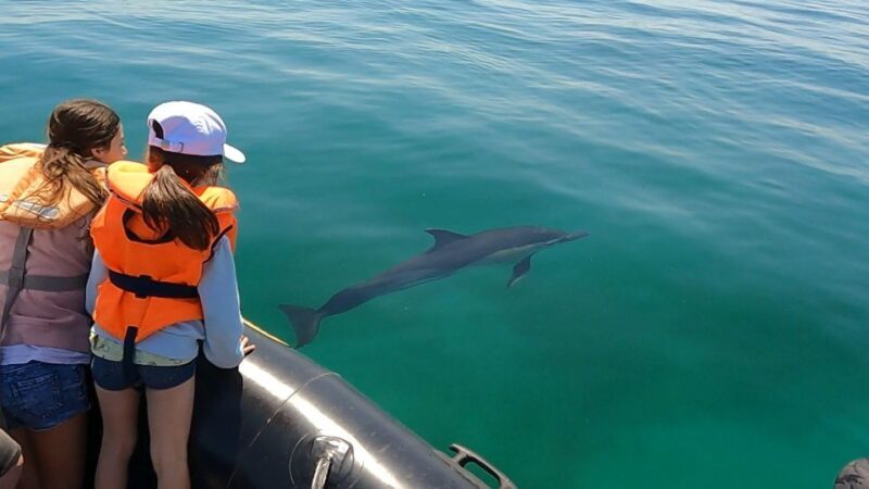 Glénan islands discover, full or half day privatization - A Deep Dive into the Glénan Islands Private Tour