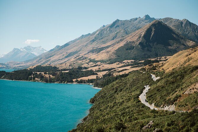 Glenorchy Kiwi Special Tour - What Past Travelers Say