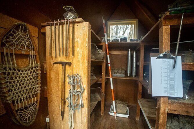 Glentanner High Country Heli Hike - Authentic Insights from Past Travelers