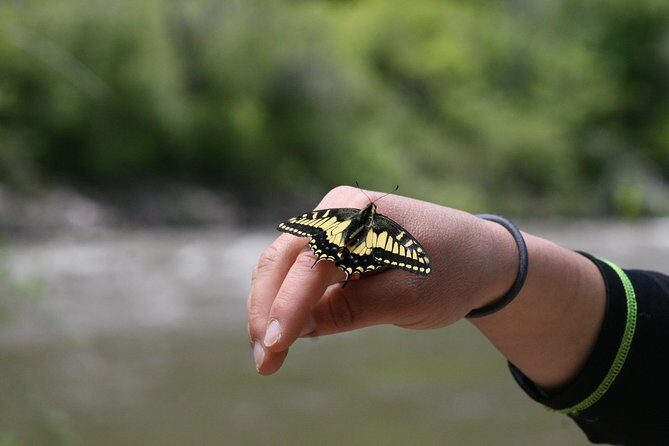 Glenwood Springs Half-Day Rafting Trip - The Cost & Its Value  