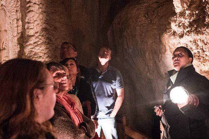Glow Worm Caves Express Tour in Bay of Islands - Key Points
